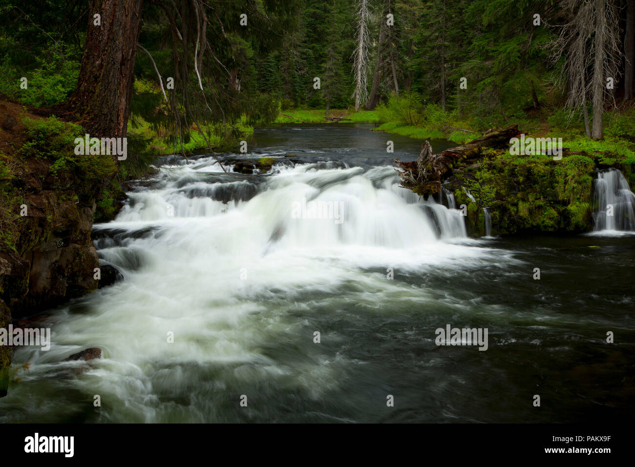 Umpqua river national wild and scenic river hi-res stock photography ...