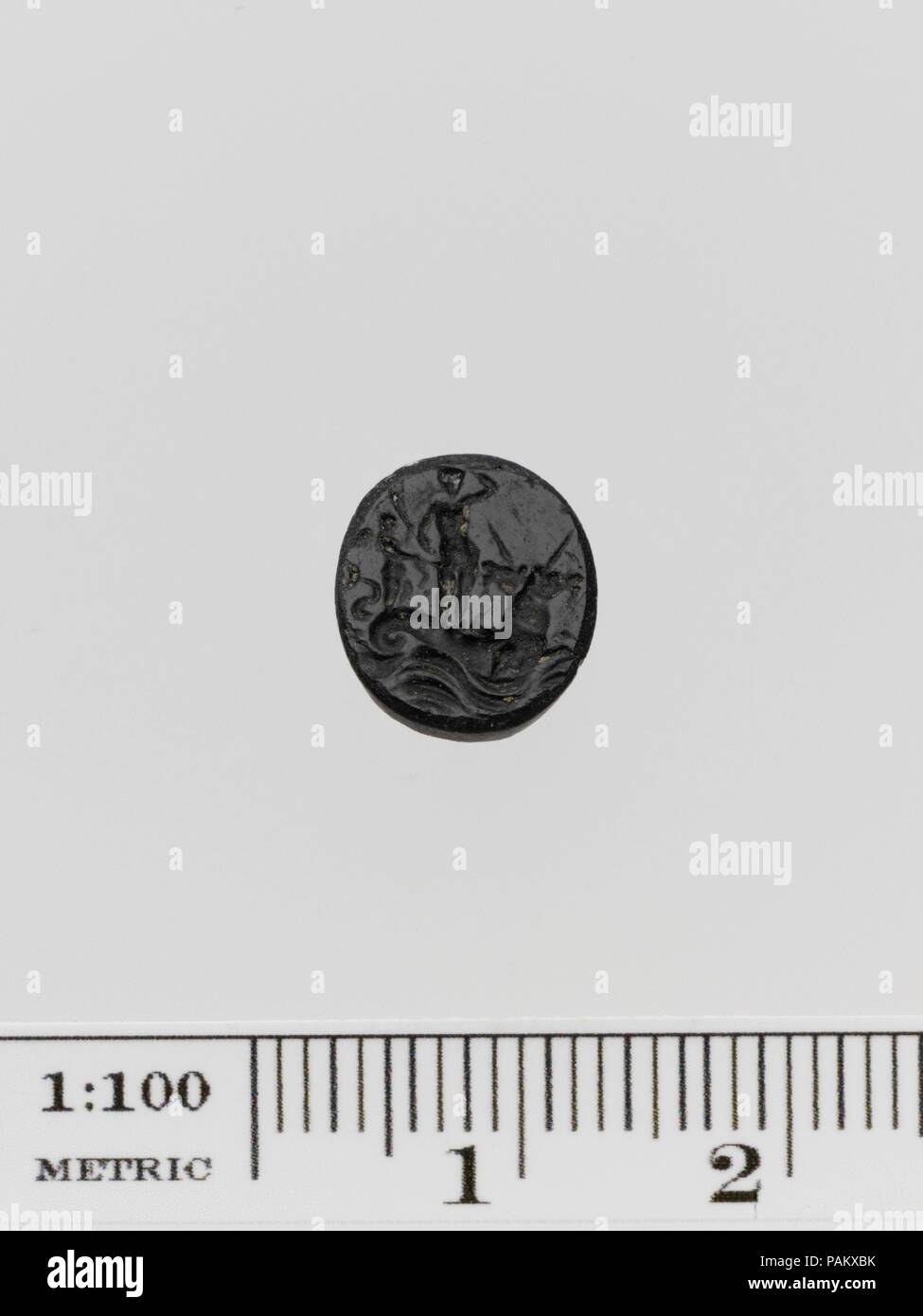 Hippocamp hi-res stock photography and images - Alamy