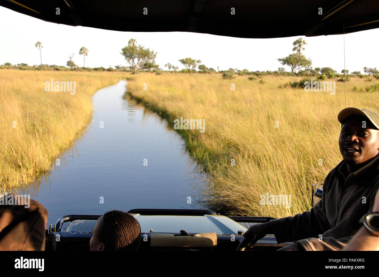 Game Drive in the flooded Okavango-Delta-swamps with the Jao Wilderness ...