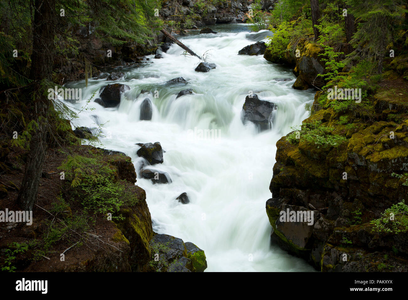 Rogue River at Natural Bridge, Rogue Wild and Scenic River, Rogue River ...
