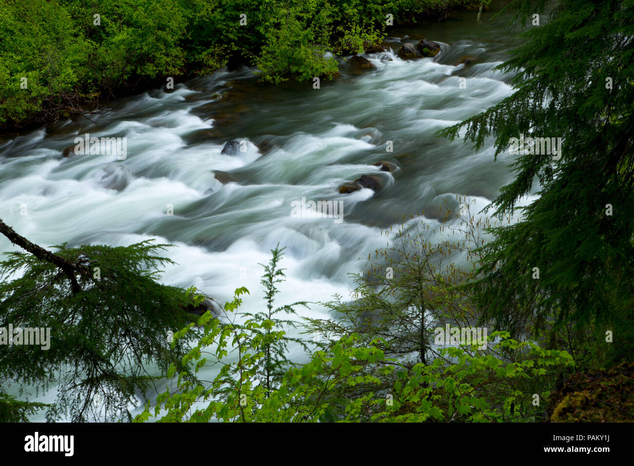 Rogue Wild and Scenic River, Rogue River National Forest, Rogue-Umpqua ...