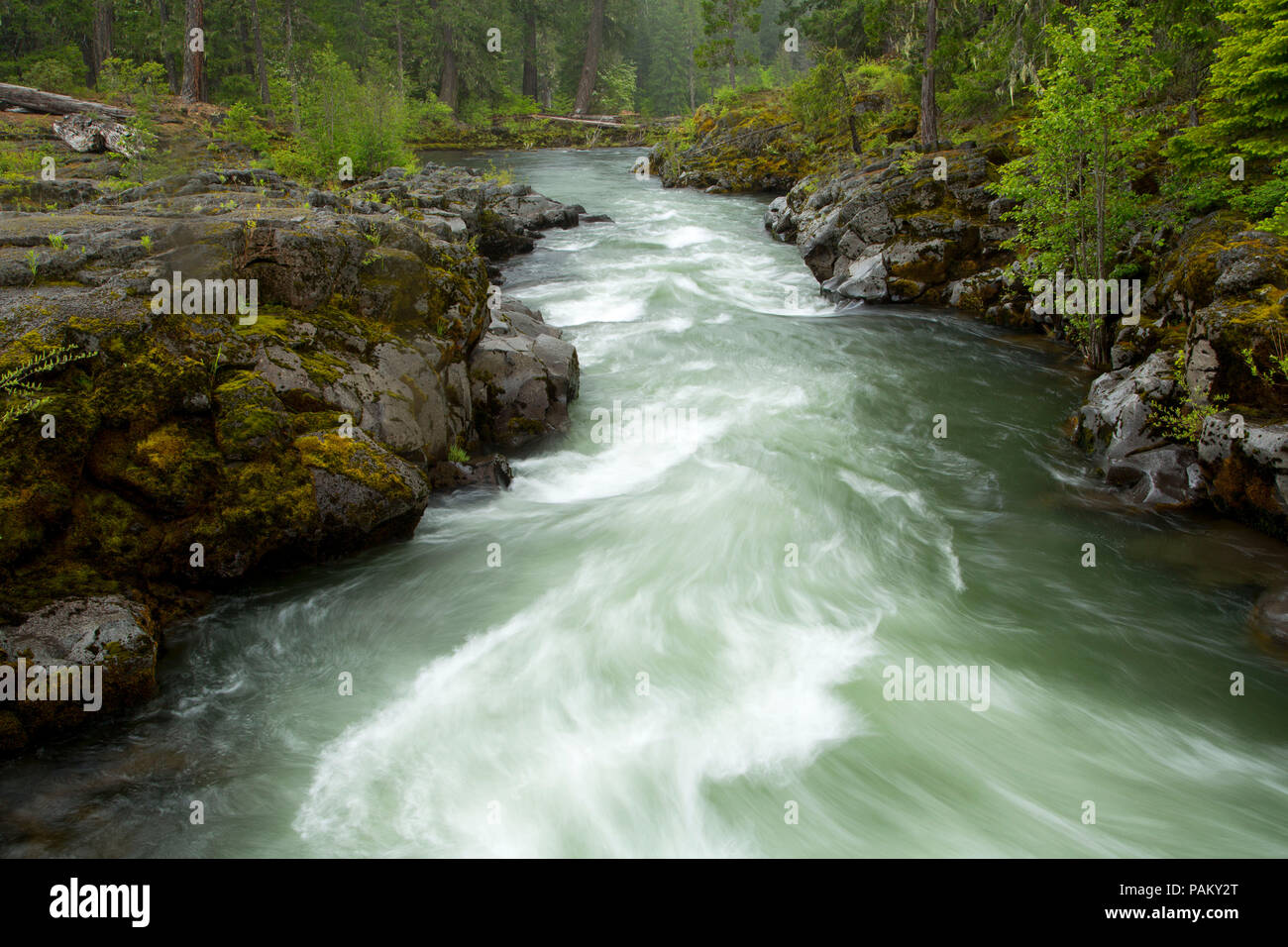 Rogue Wild and Scenic River, Rogue River National Forest, Rogue-Umpqua ...