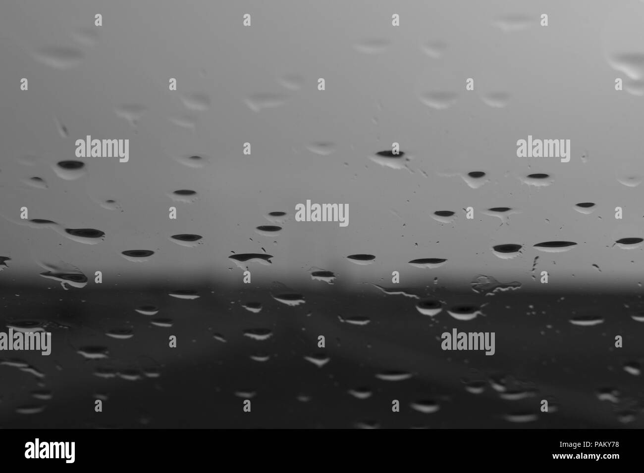 Rain Color Splash Desktop Wallpaper