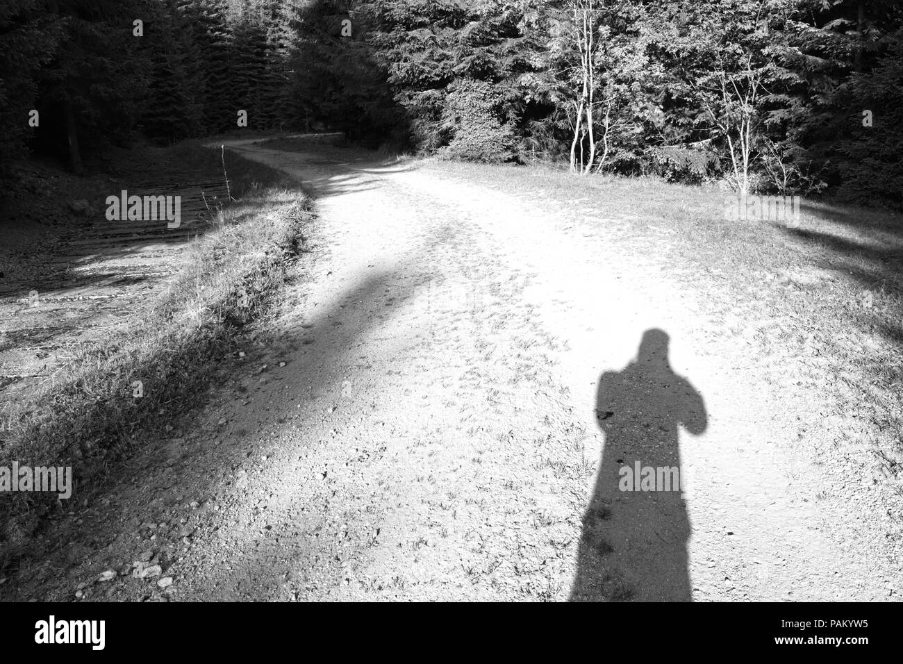 Chasing the shadow hi-res stock photography and images - Alamy