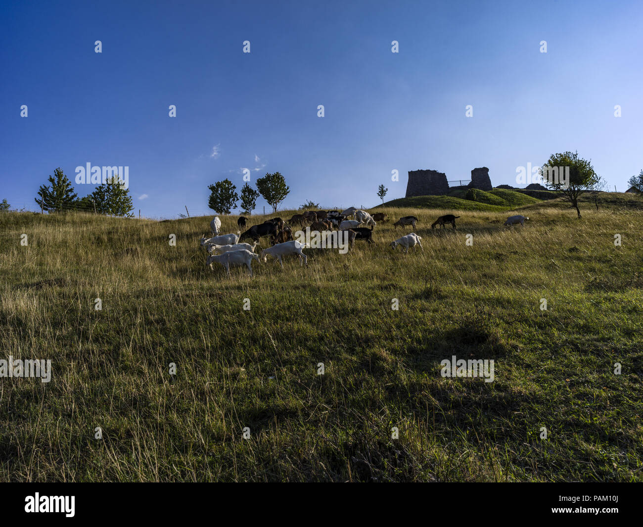 Branc castle hi-res stock photography and images - Alamy