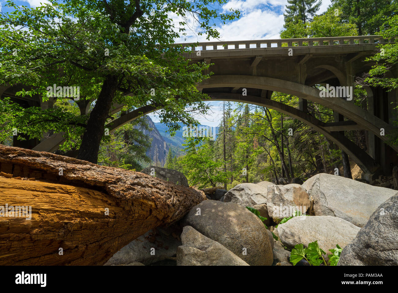 Dead tree and forest boulders under an arch bridge over Cascade Creek ...