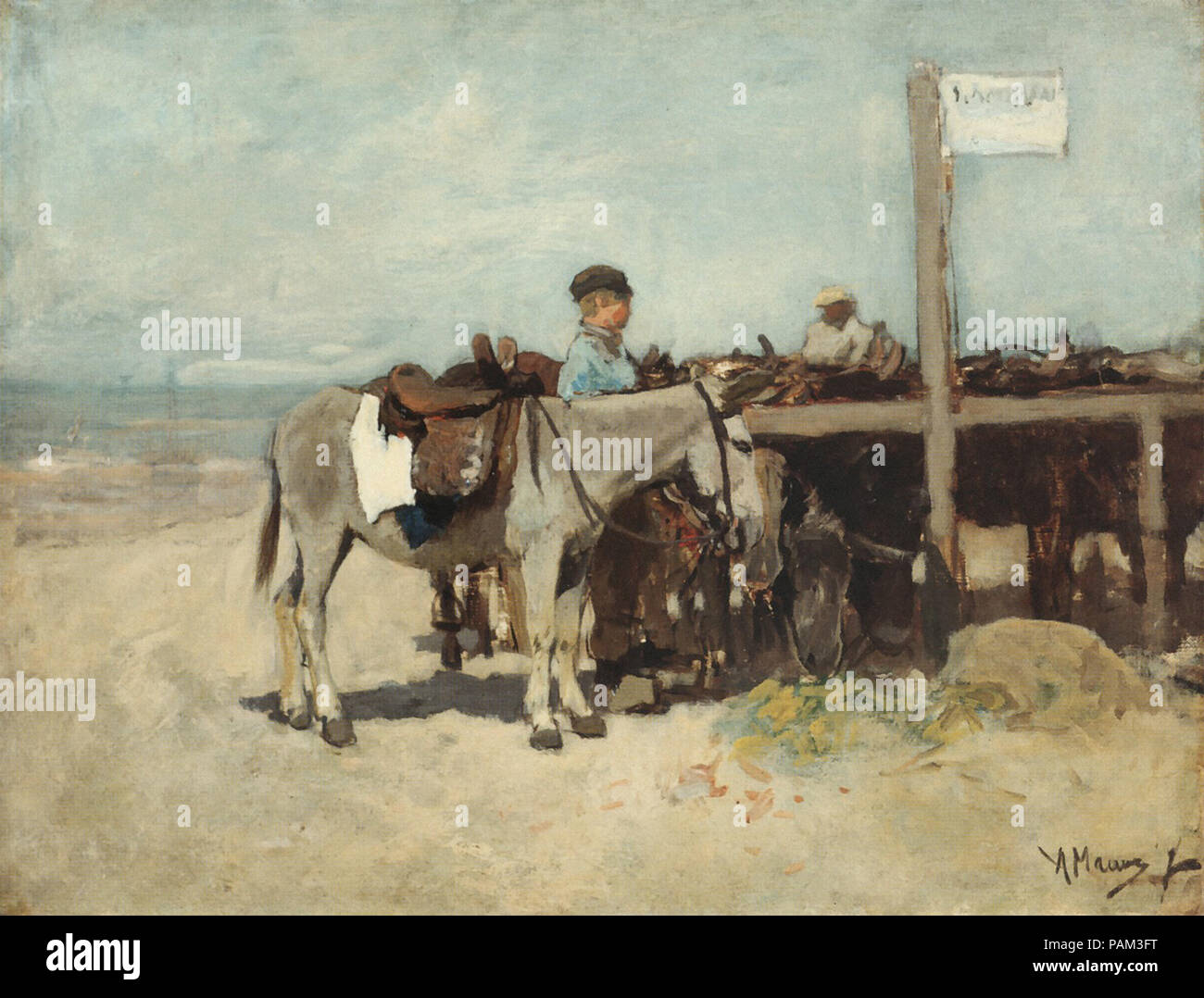 Donkey stand hi-res stock photography and images - Alamy