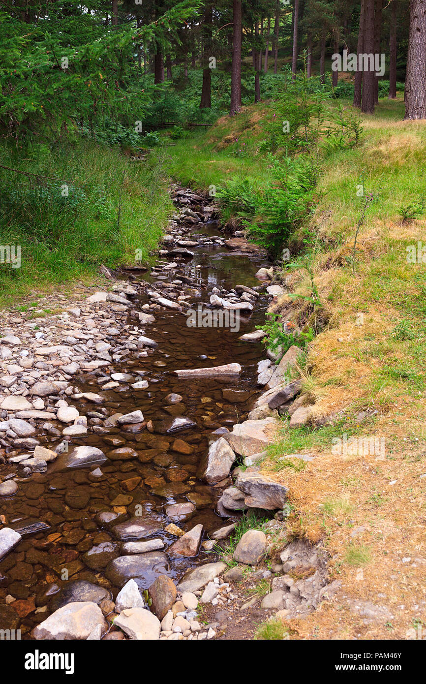 Small stream flowing through the Upper Derwent Valley in the Derbyshire ...