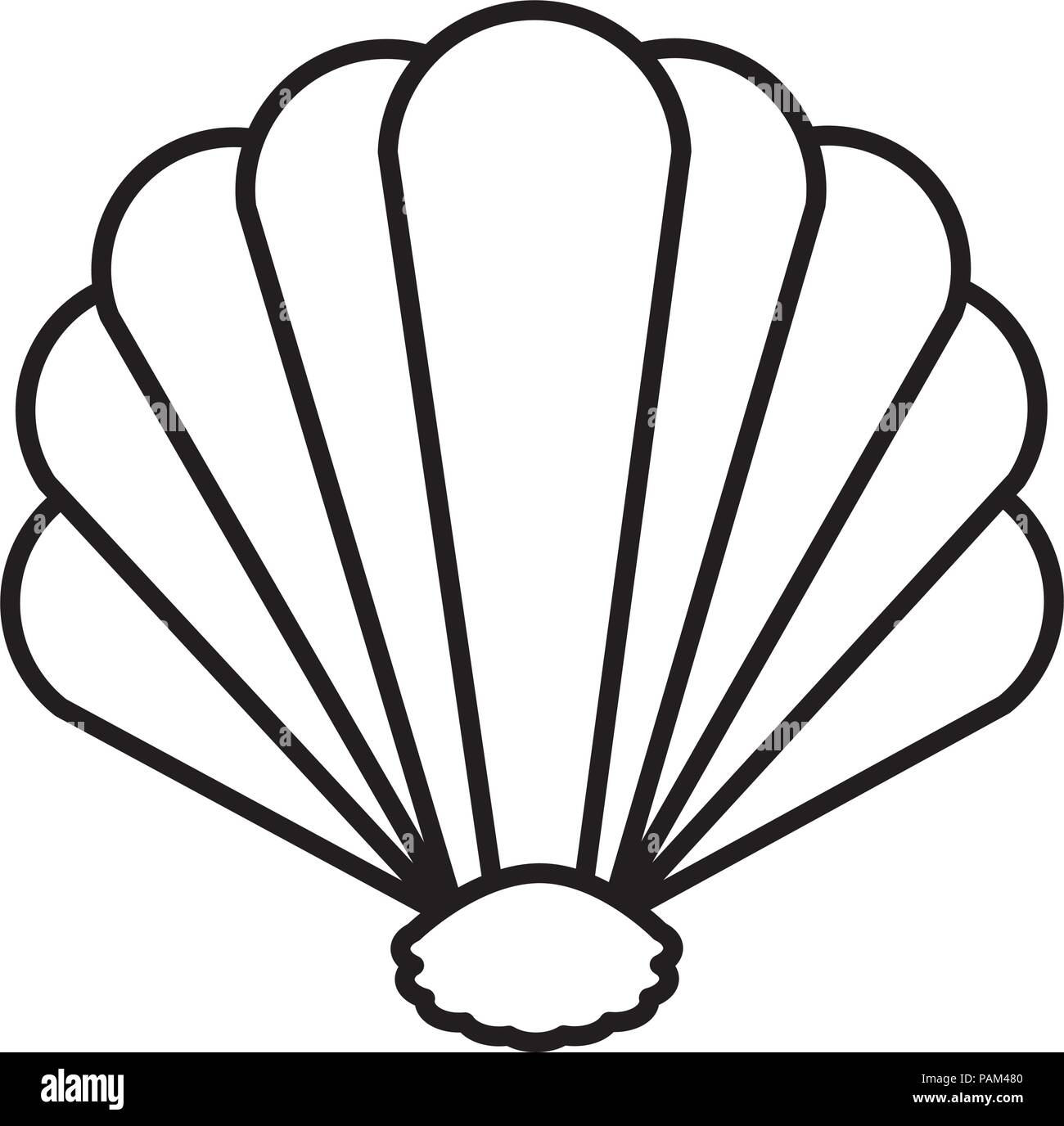 line beauty shell nature manine style Stock Vector Image & Art - Alamy