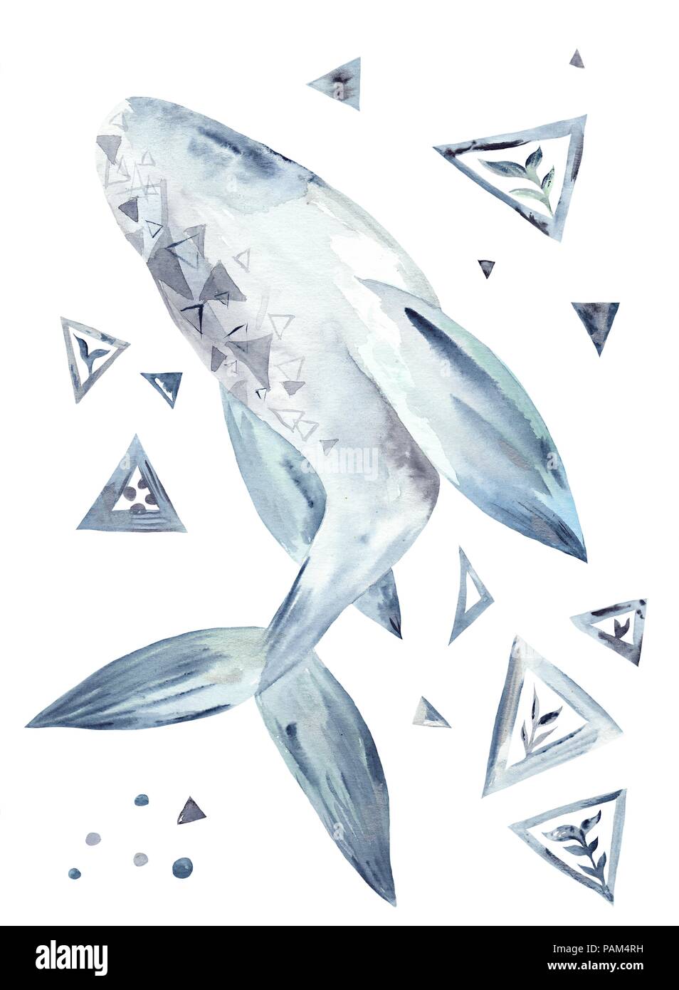 Large high-detailed hand-painted illustration with gray and blue cetus ...