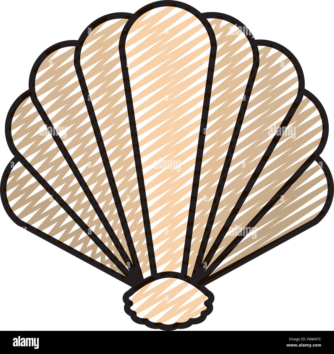 doodle beauty shell nature manine style Stock Vector Image & Art - Alamy