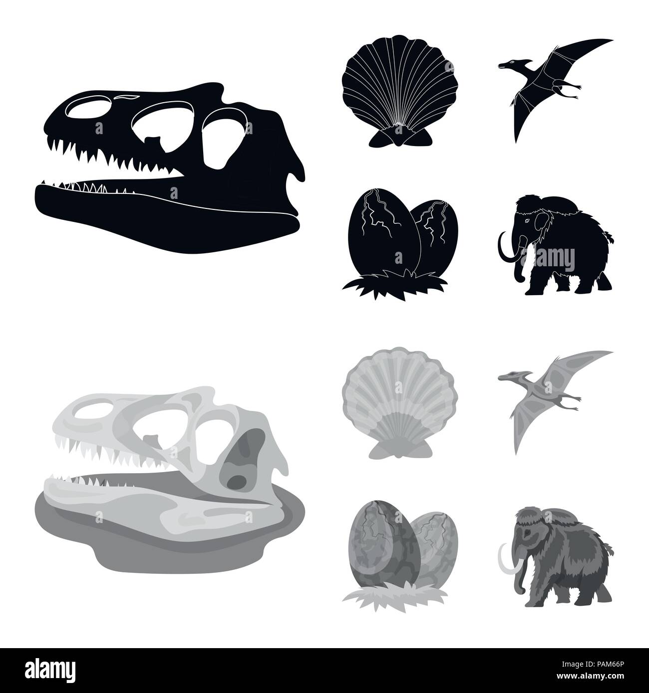 Prehistoric shell, dinosaur eggs,pterodactyl, mammoth. Dinosaur and ...