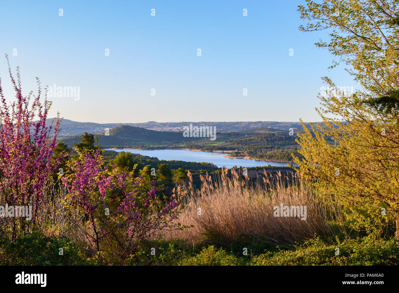 Marathonas lake water dam view Stock Photo - Alamy