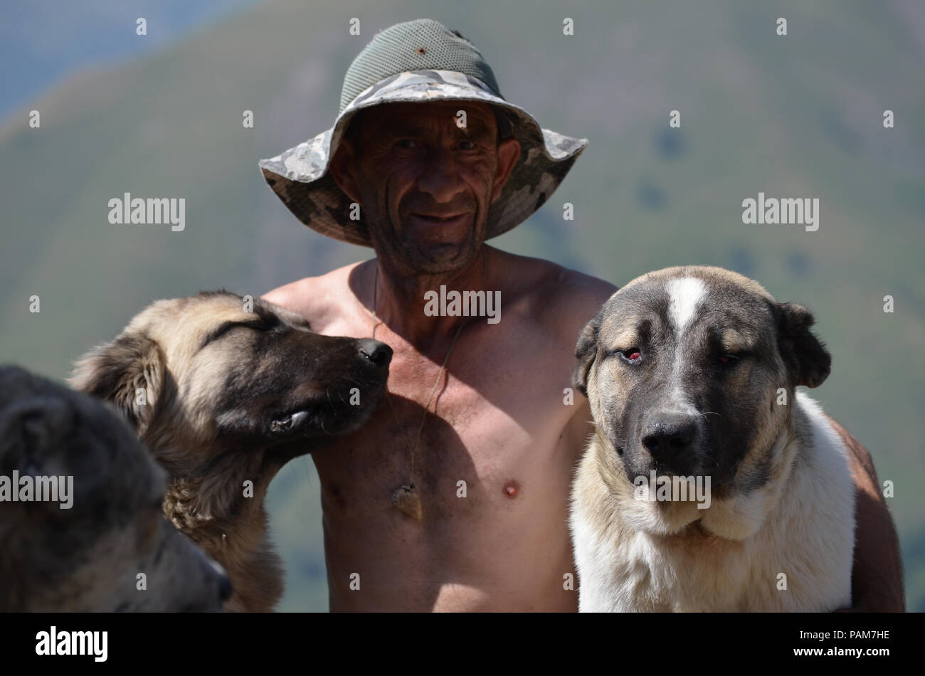 Shepherd and his dogs near Ilisu, a Greater Caucasus village in north ...
