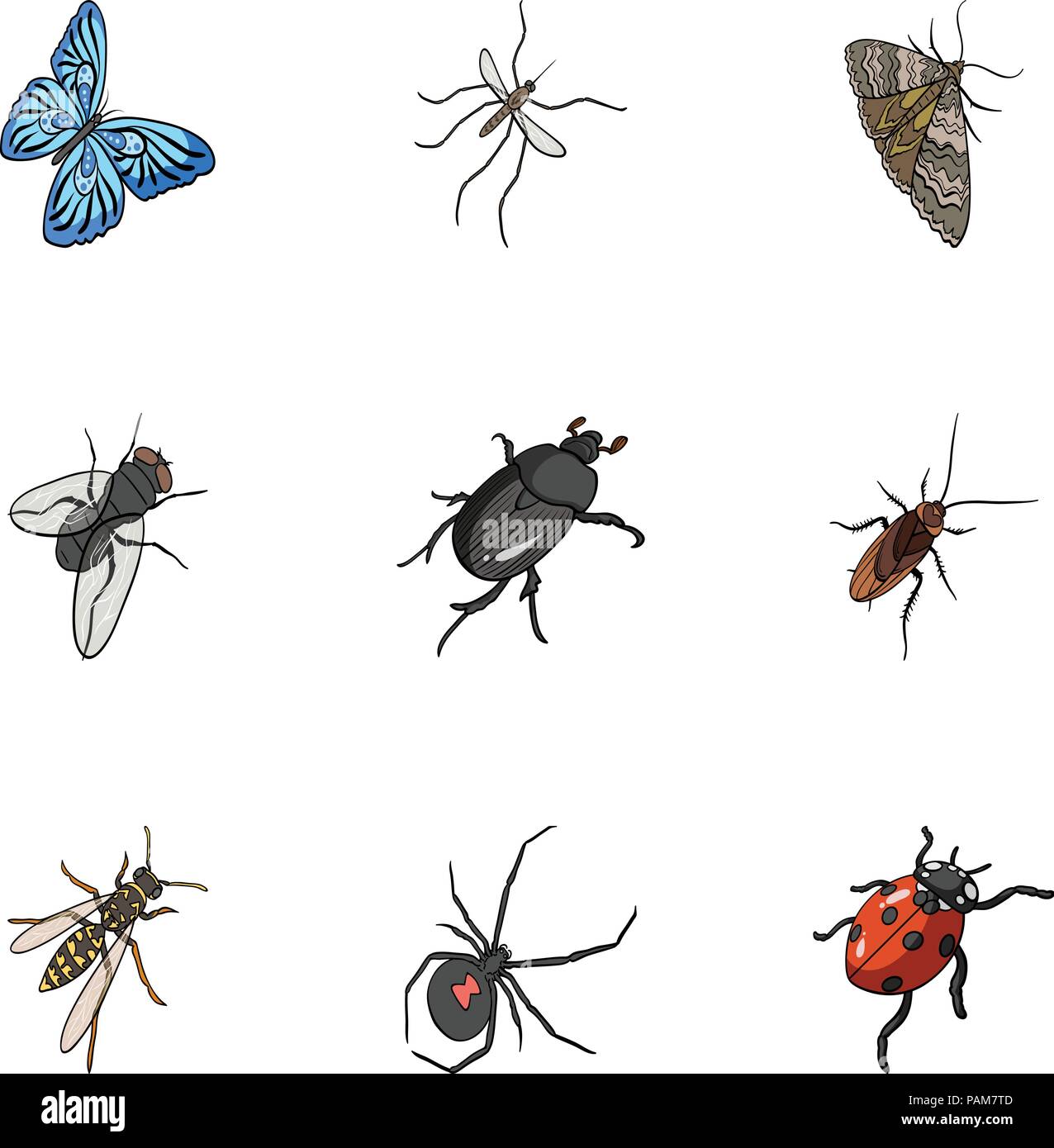 animal,ant,arthropod,bee,beetle,bloodsucker,butterfly,cartoon ...