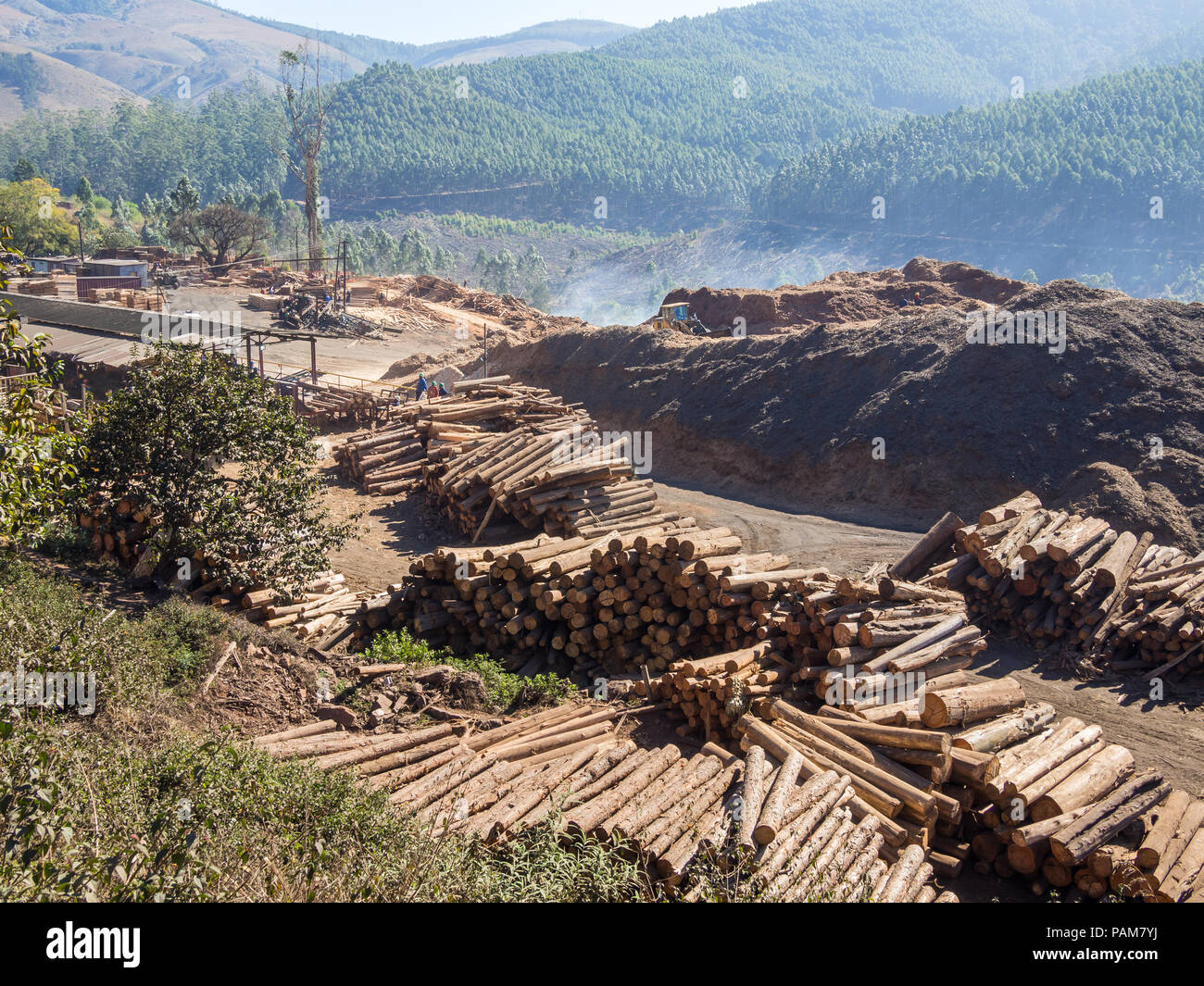 Tree felling africa hi-res stock photography and images - Alamy