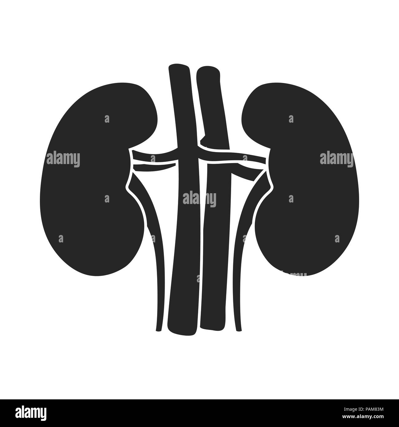 Kidney icon in black style isolated on white background. Organs symbol ...
