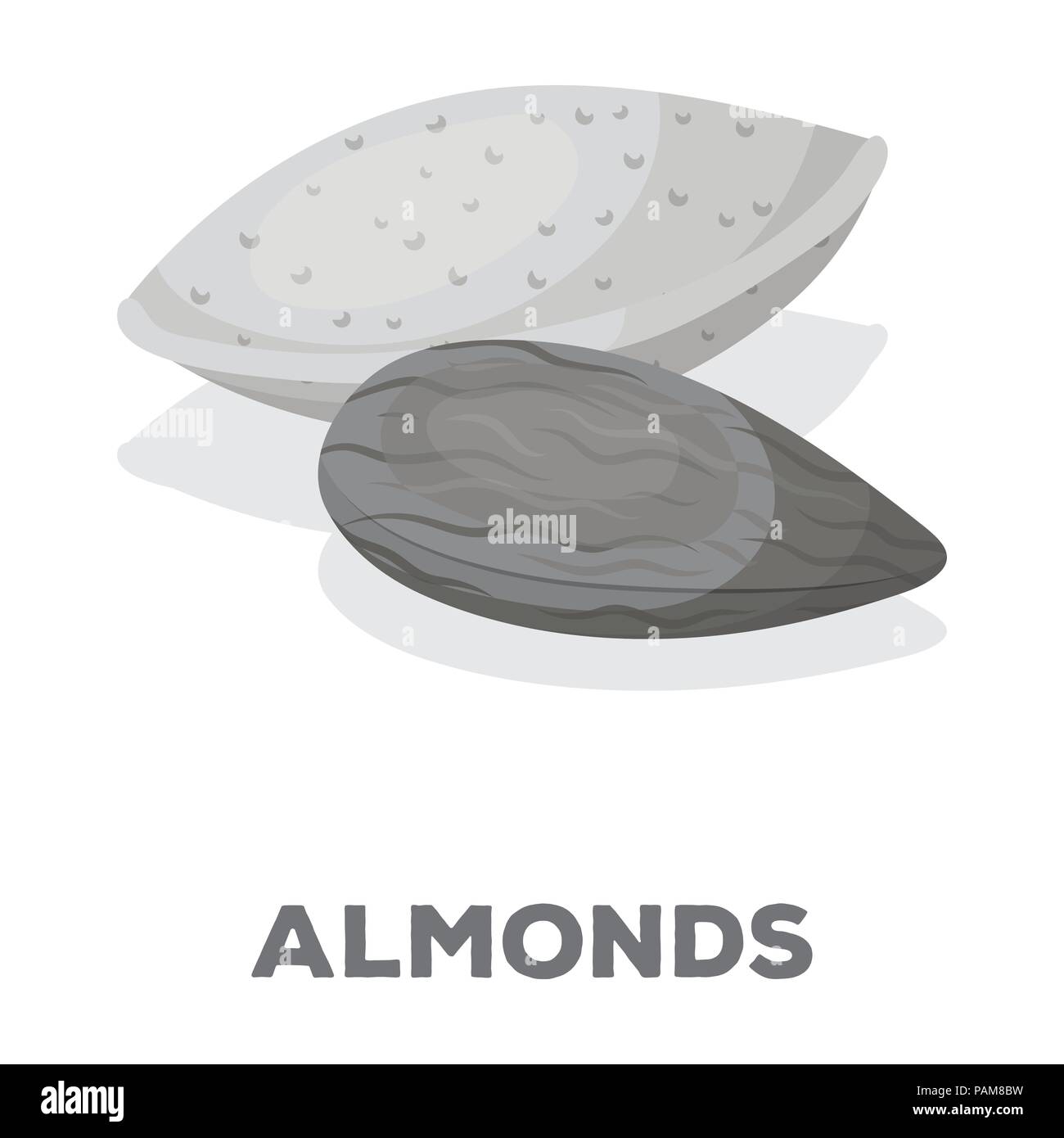 Almonds Different Kinds Of Nuts Single Icon In Monochrome Style Vector