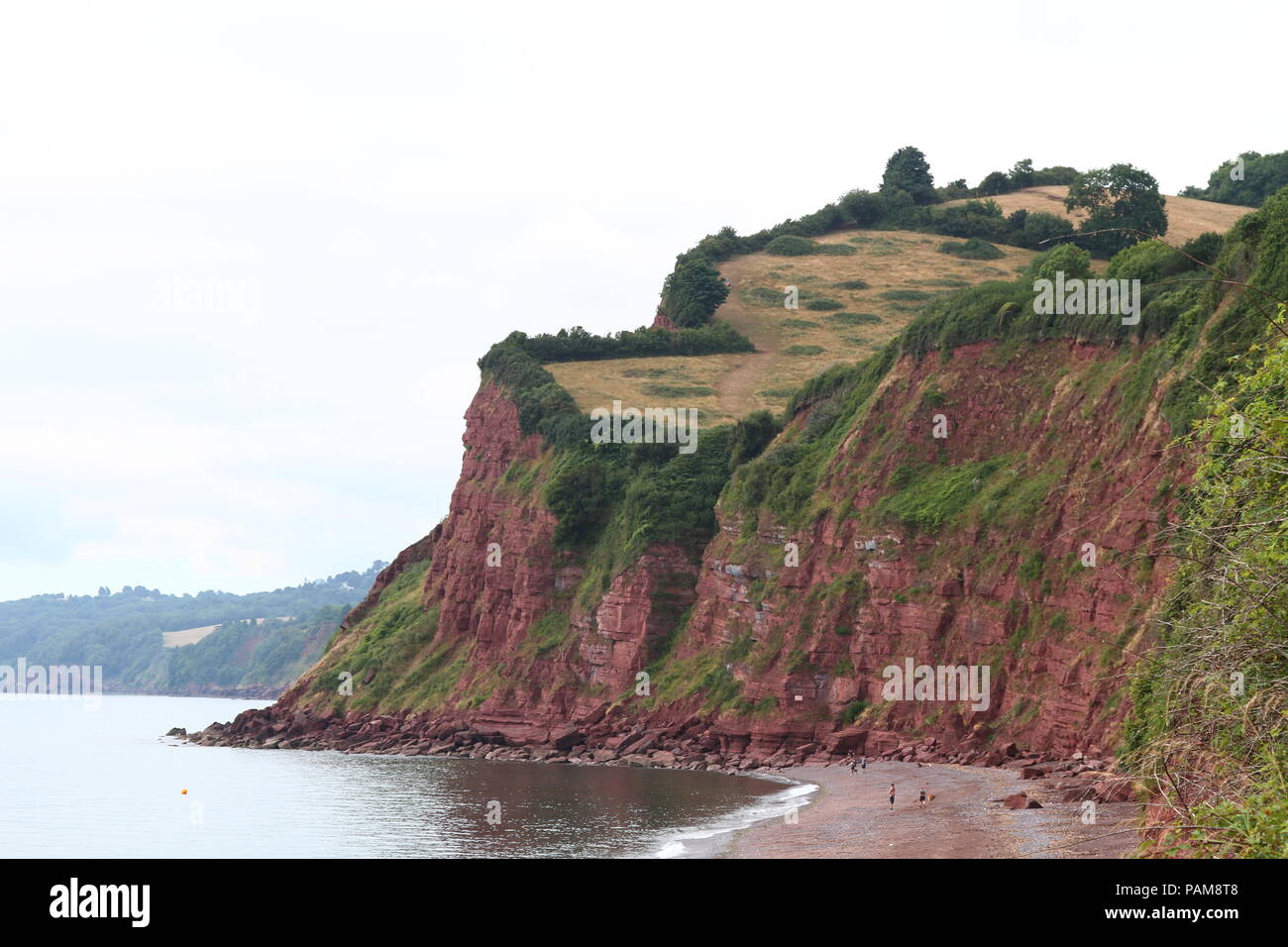 Ness Cove Devon High Resolution Stock Photography and Images - Alamy
