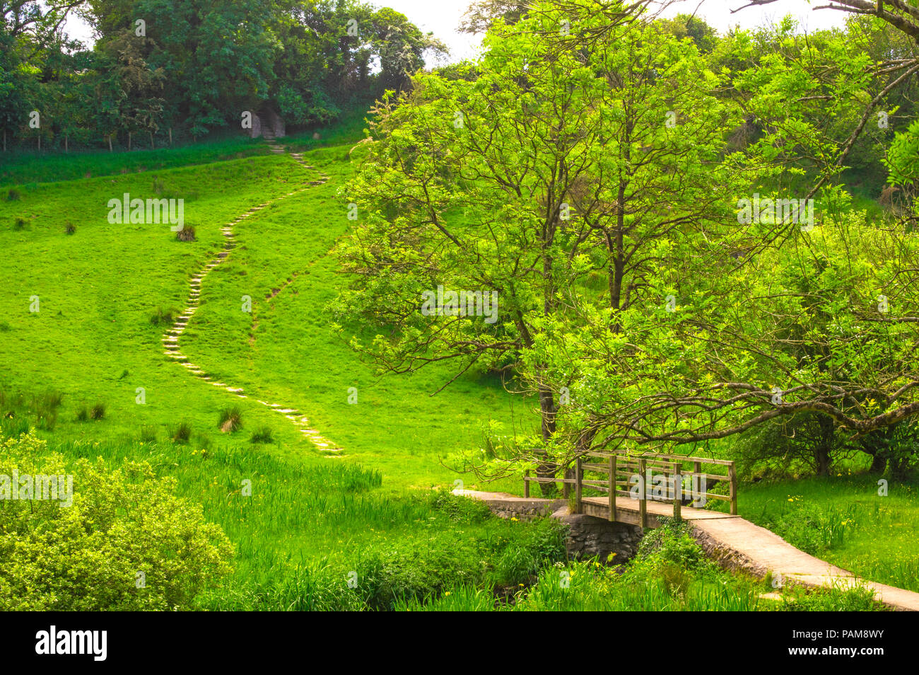 Mon rise hi-res stock photography and images - Alamy