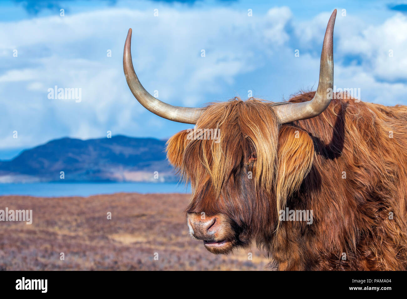 Strathaird peninsula skye hi-res stock photography and images - Alamy