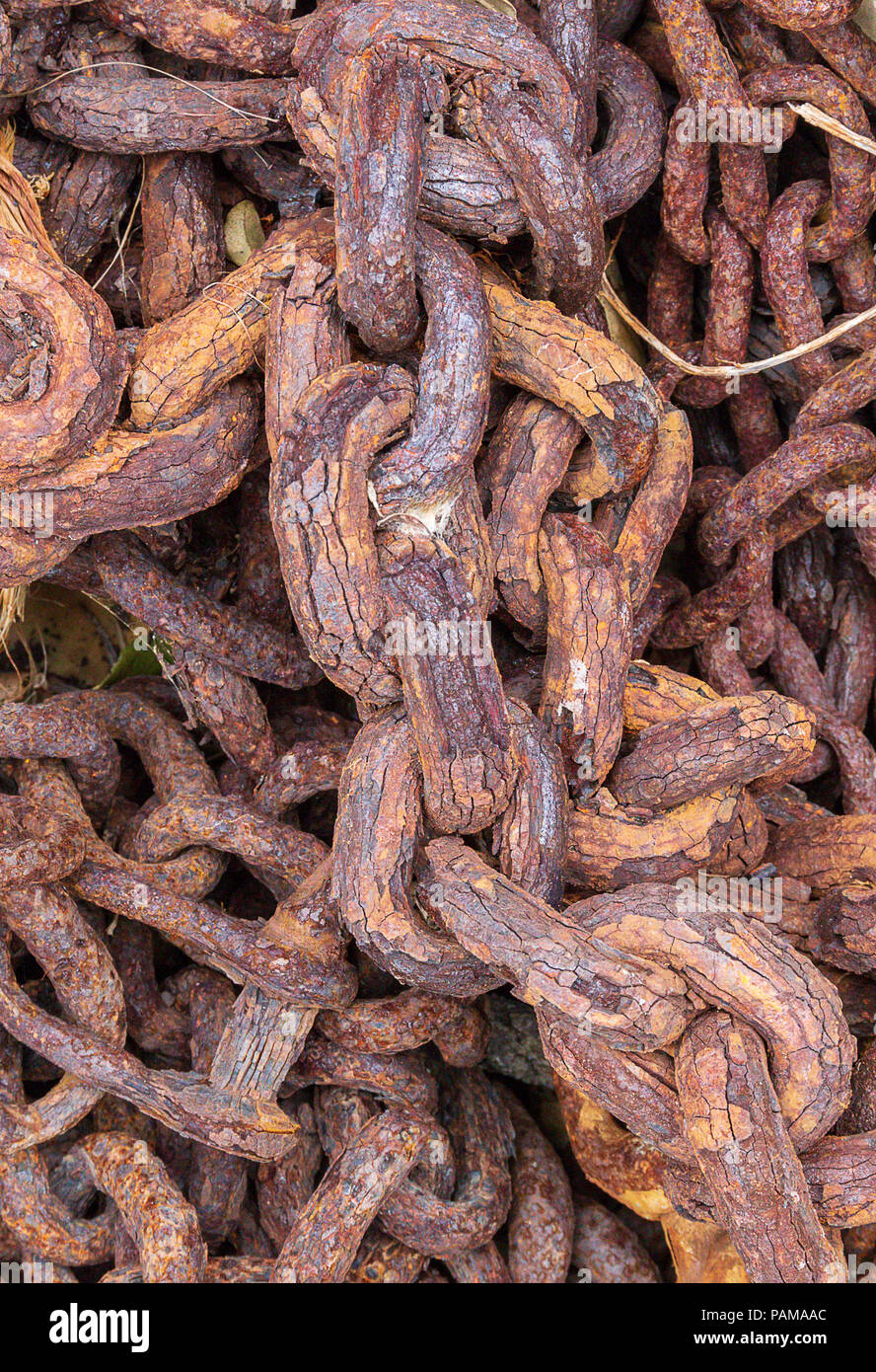 A pile of rusty chains weathered and decaying Stock Photo - Alamy
