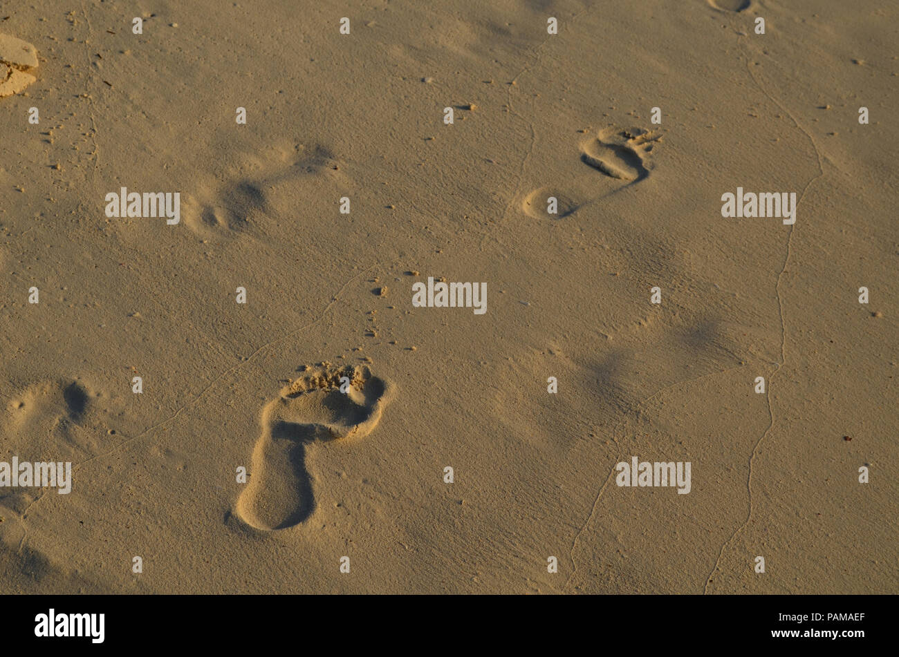 Imprints of footprints in the soft beach sand Stock Photo - Alamy