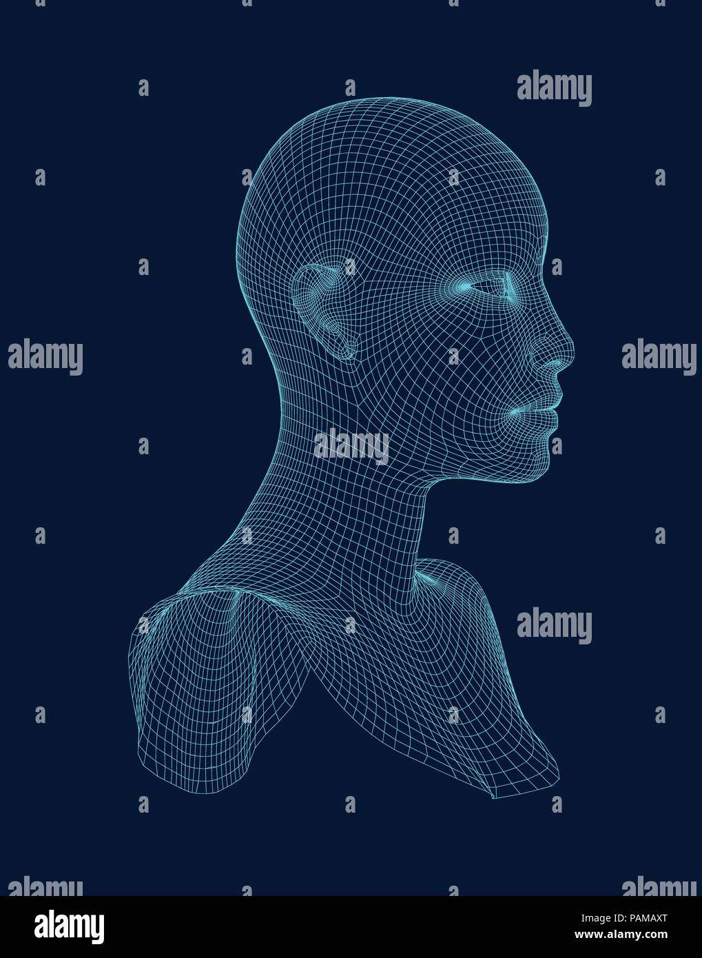 3d head wireframe vector. Drawing of wireframe head 3d model. Vector ...