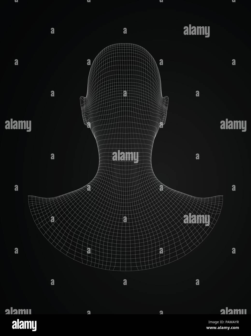 3d head wireframe vector. Drawing of wireframe head 3d model. Vector ...