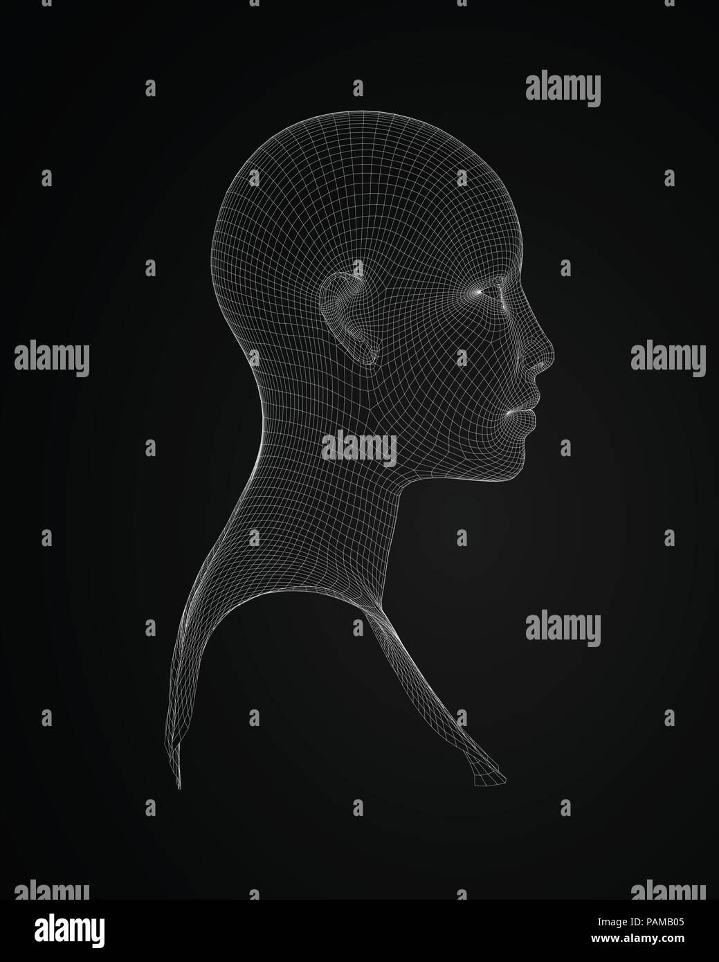 3d head wireframe vector. Drawing of wireframe head 3d model. Vector ...