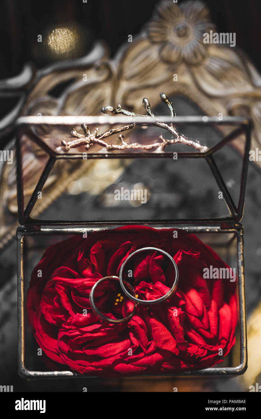 Rings on rose petals inside of handmade forged metal and glass ...