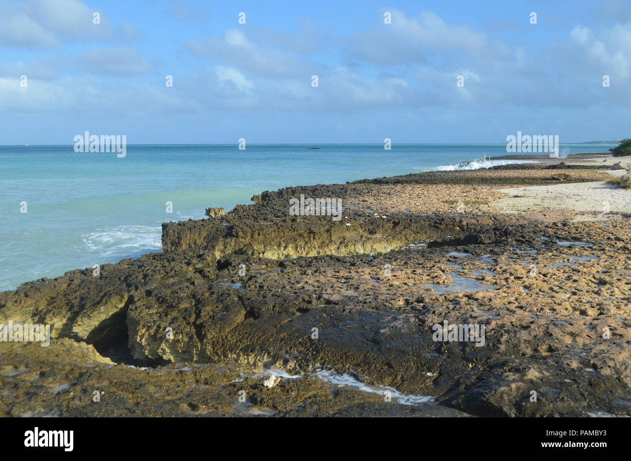 Aruba's coast with water on the lava rocks Stock Photo - Alamy