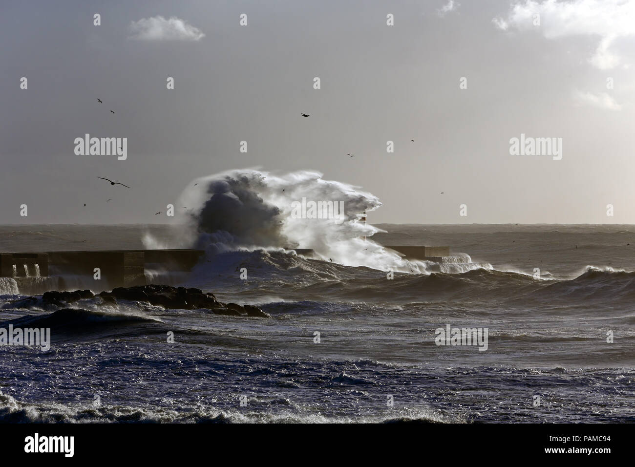 Dramatic big wave over lighthouse Stock Photo - Alamy