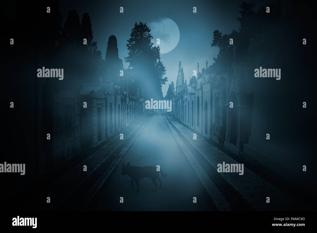 Old european cemetery in a foggy full moon night with an intriguing dog ...