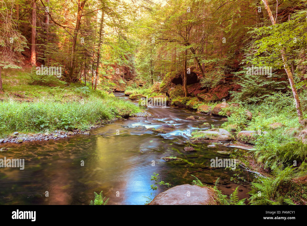 Peaceful scene of a small river or a brook flowing through woods in ...