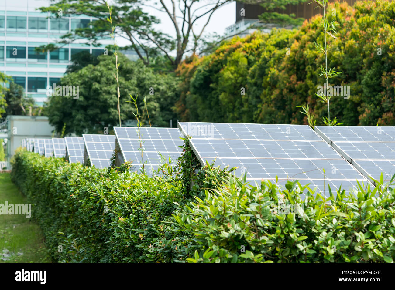 Ecological energy renewable solar panel plant with urban landscape ...