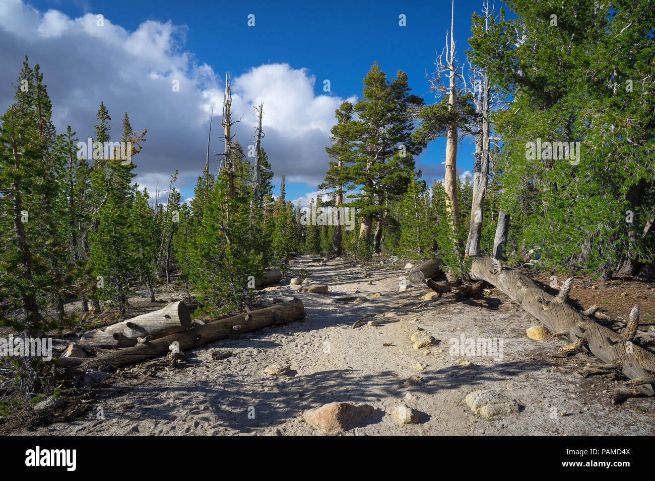 Yosemite backcountry hi-res stock photography and images - Alamy