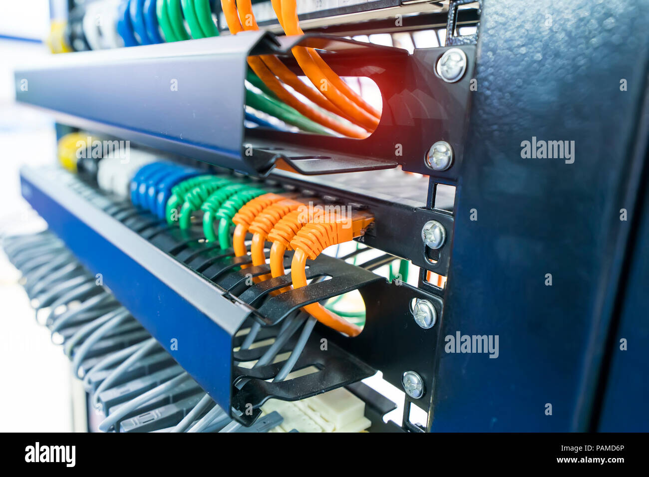 row of network cables are connected to a switch Stock Photo - Alamy