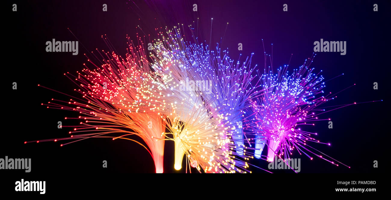 fiber optical network cable Stock Photo - Alamy