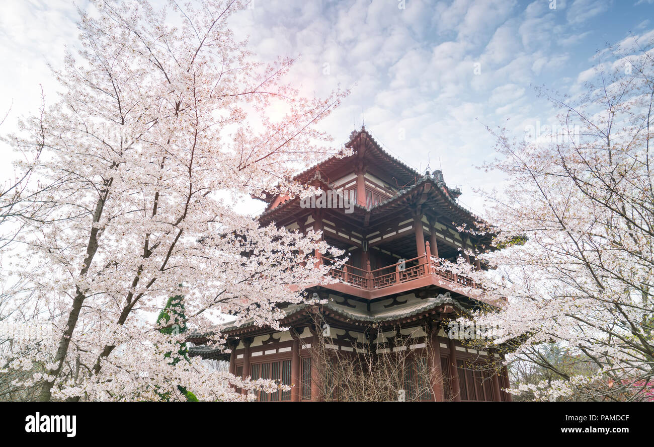 Qinglong hi-res stock photography and images - Alamy