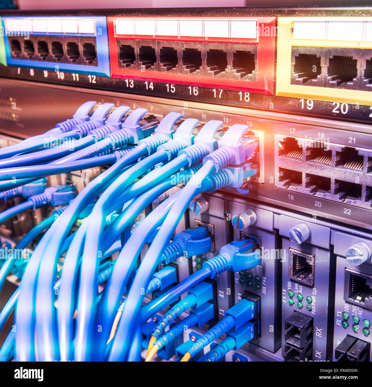 row of network cables are connected to a switch Stock Photo - Alamy