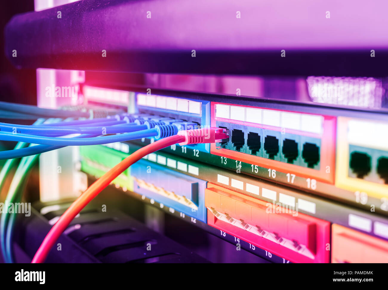 row of network cables are connected to a switch Stock Photo - Alamy