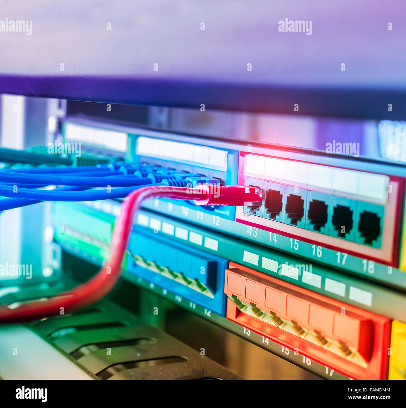 row of network cables are connected to a switch Stock Photo - Alamy