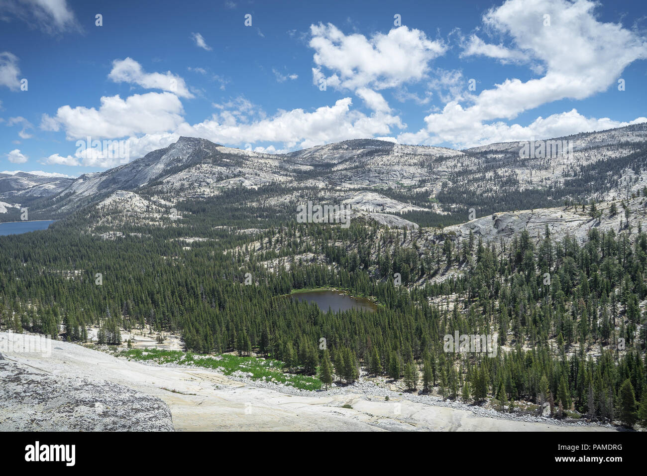 Tenaya Lake vista and granite valley landscape, from Olmsted Point ...