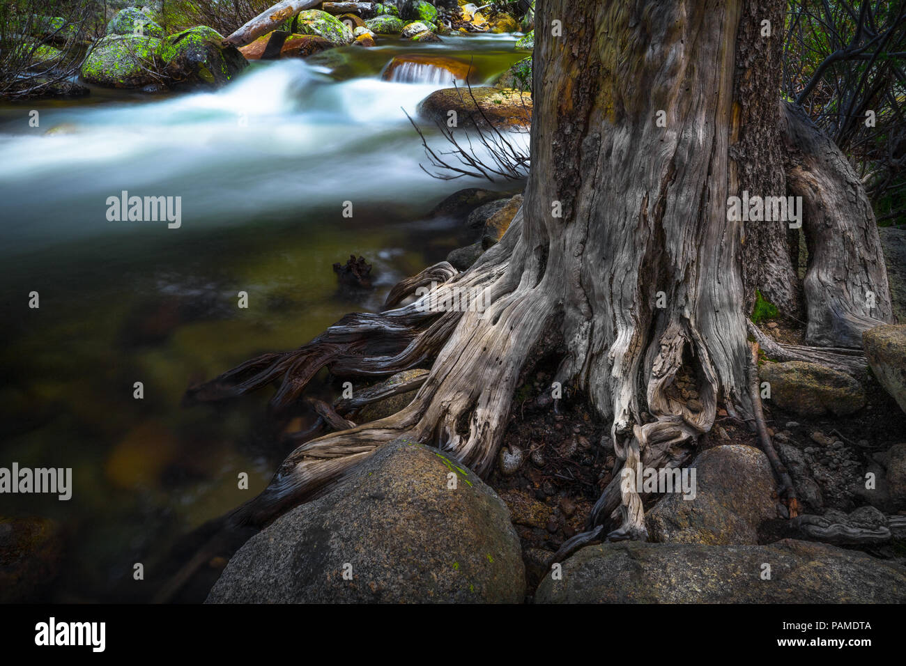 Beautiful fine art nature landscape creek mountain yosemite national ...