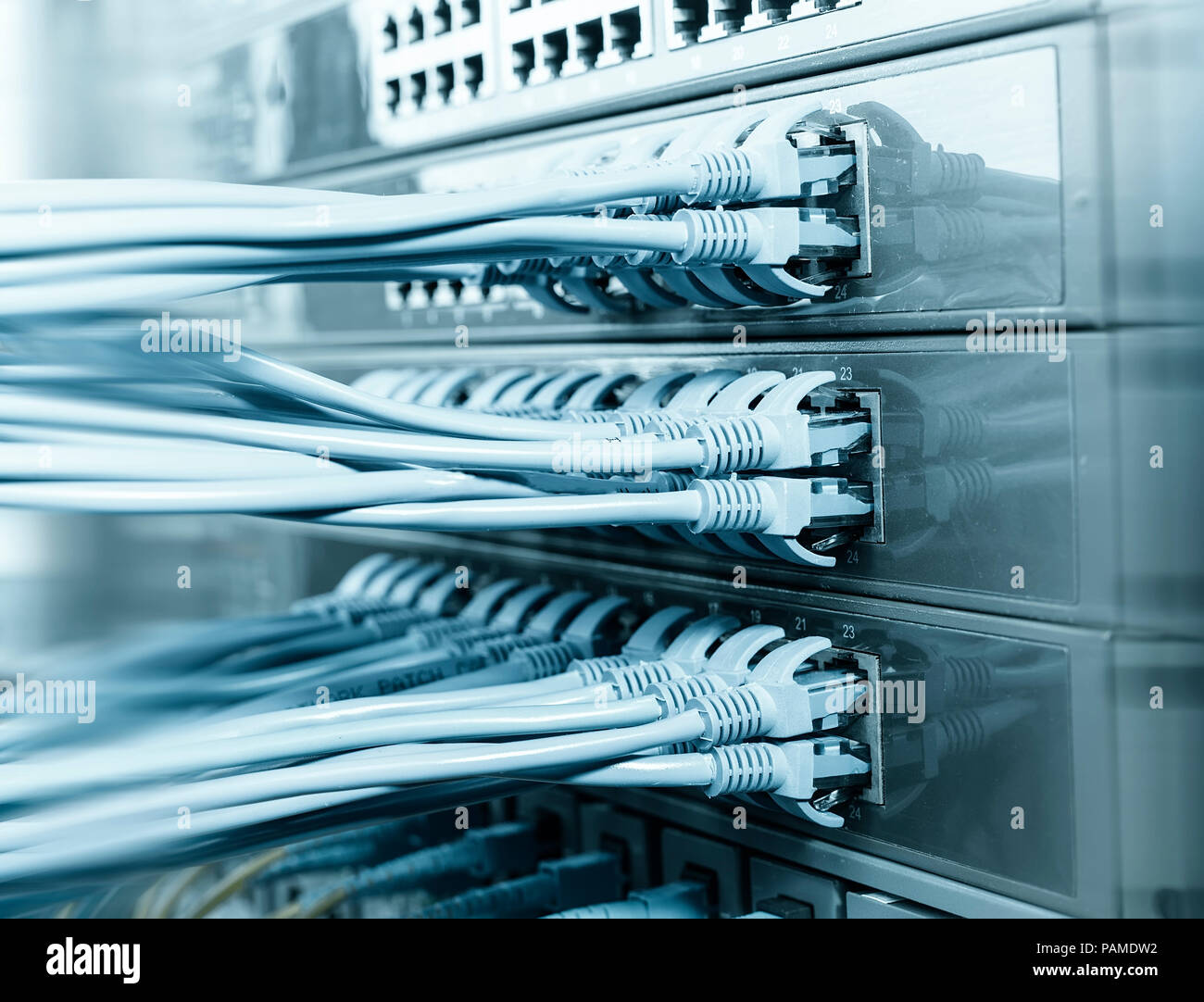 row of network cables are connected to a switch Stock Photo - Alamy
