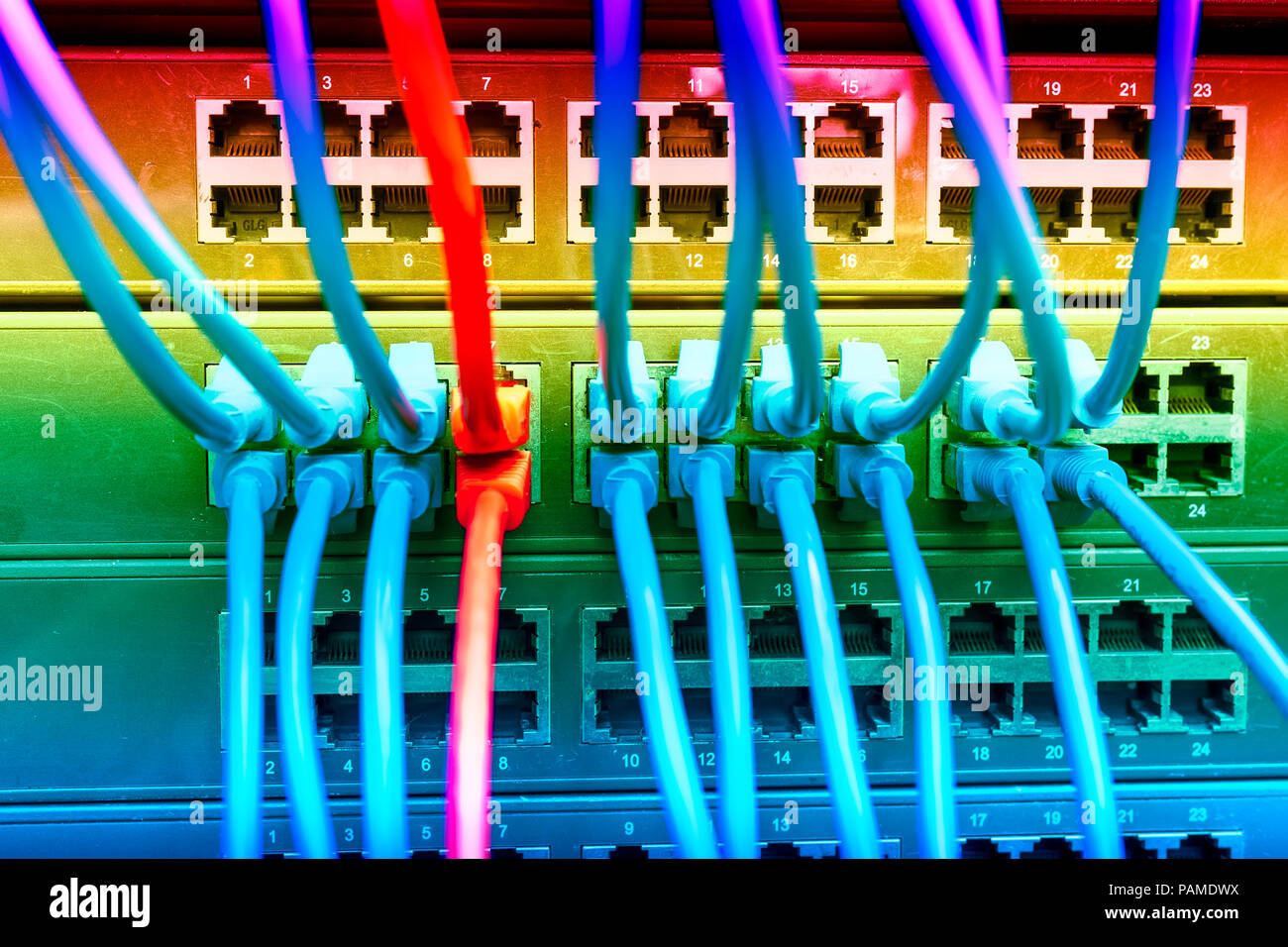 row of network cables are connected to a switch Stock Photo - Alamy