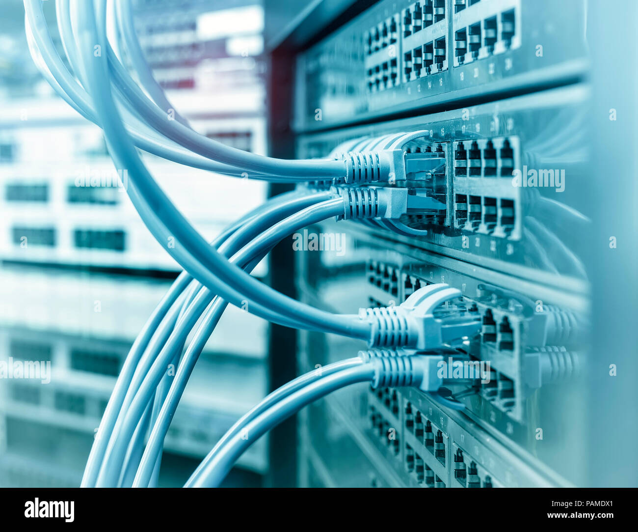row of network cables are connected to a switch Stock Photo - Alamy