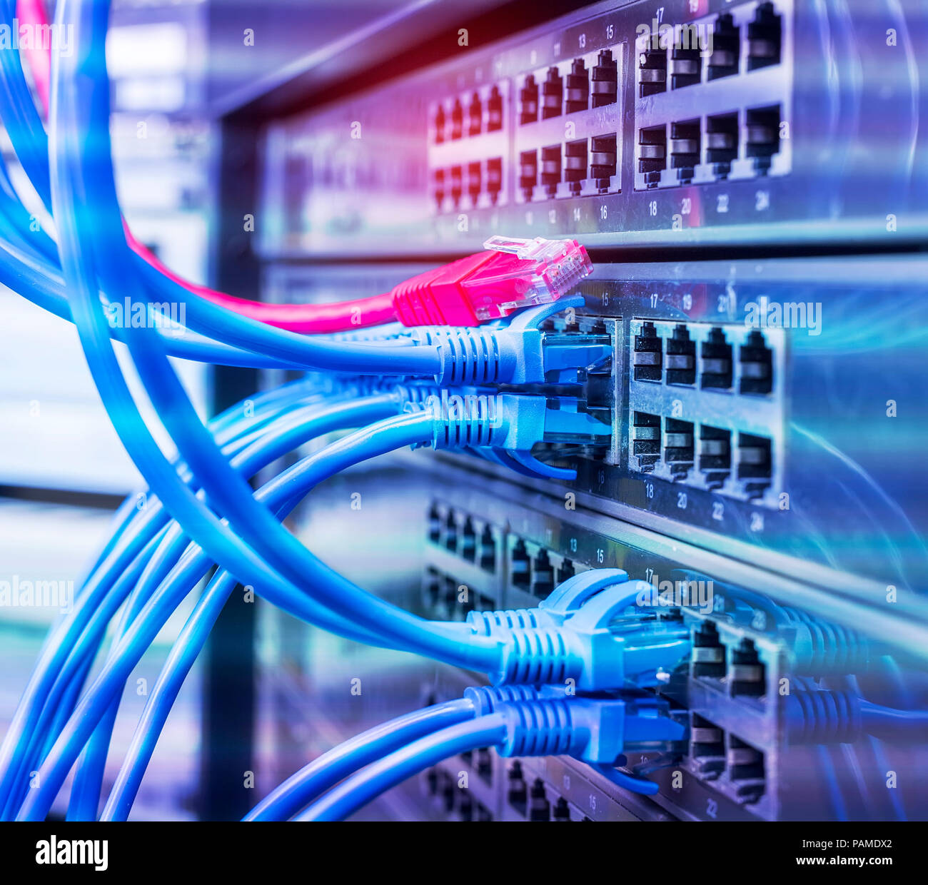 row of network cables are connected to a switch Stock Photo - Alamy