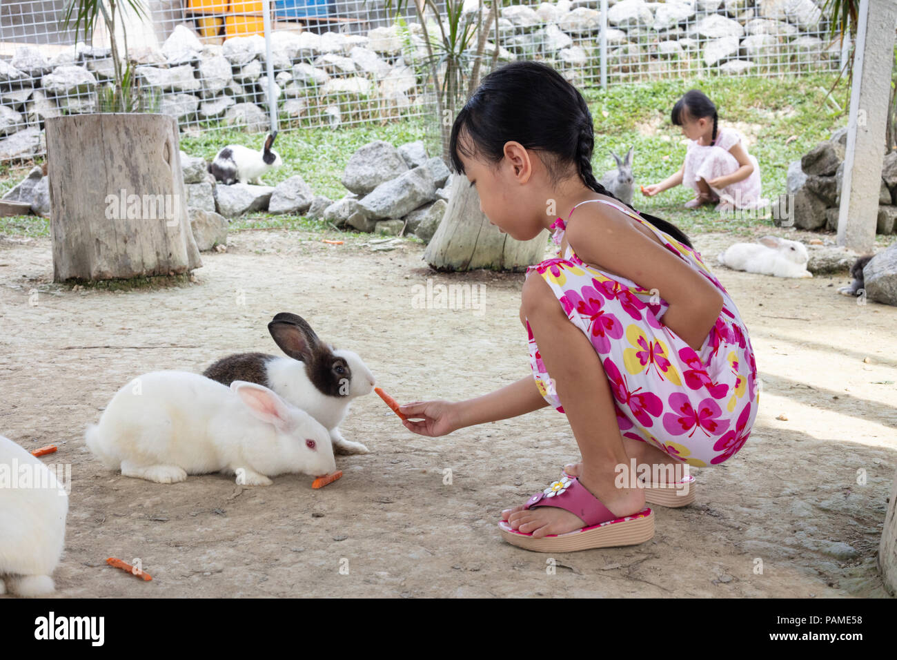 Woman Feeding Rabbits